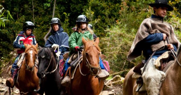 dmc-chile-destination-management-services - DMC Professionals ...